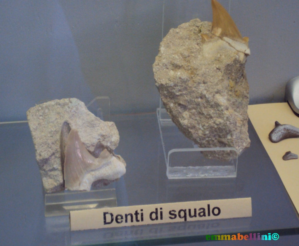 Museo Archeologico di Cavriana (Mn) – Tesori vicini